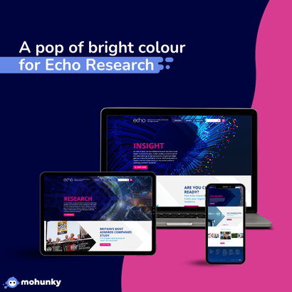 Echo Research: a fresh website for a clearer message | mohunky